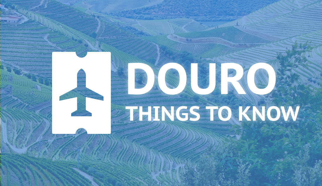 Douro Valley: Tips And Things To Know | Geeky Explorer
