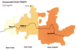 Douro Valley: Tips And Things To Know | Geeky Explorer